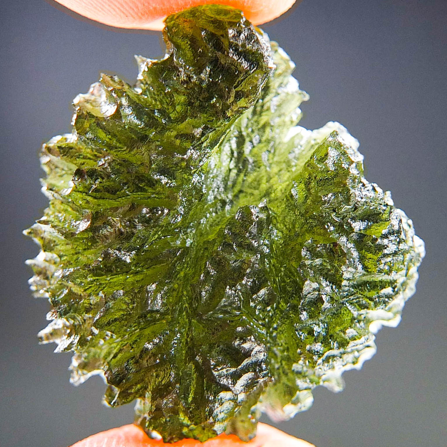 Beautiful Moldavites Archives - Moldavite Miner